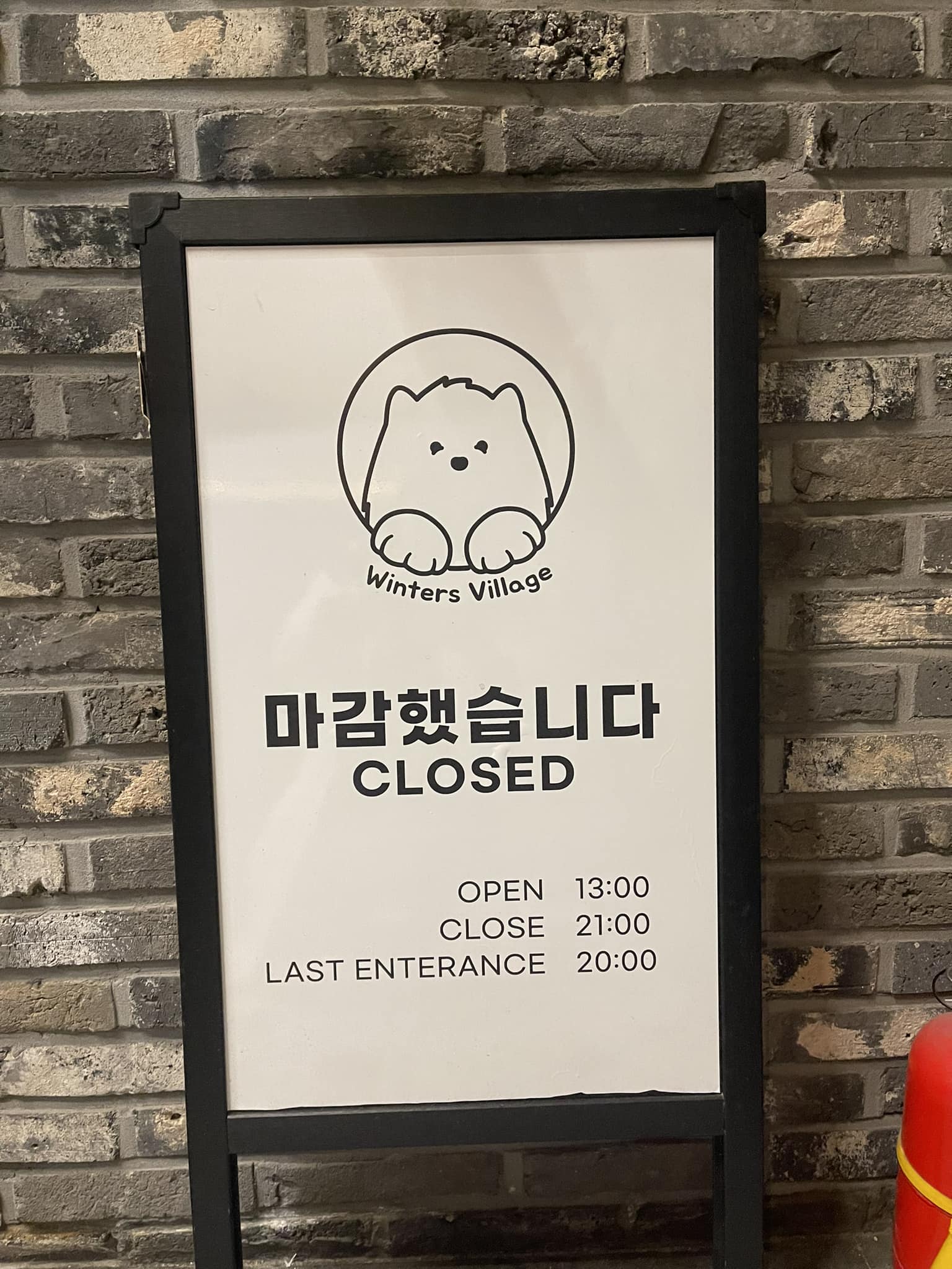 Samoyed Cafe in Hongdae: Must Visit Cafe for Dog Lovers - The Nurse Who ...
